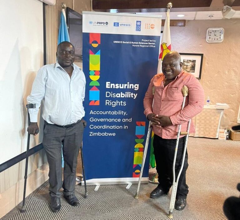 Programmes – Africa Disability Alliance